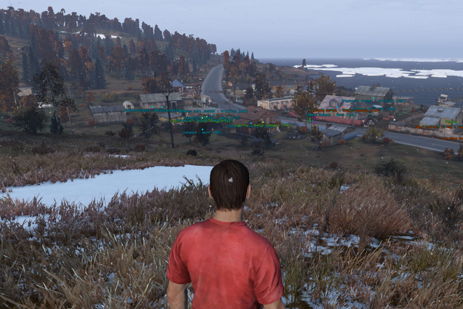 DayZ Cheats For Sale | Wallhack & Premium Dupe Exploit | Official